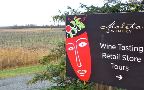 Maleta Winery's new sparklers and age-worthy reds and whites - Wines In ...