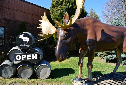 moose - Wines In Niagara