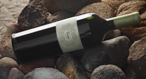 The thrilling Malbecs from Argentina's Versado winery