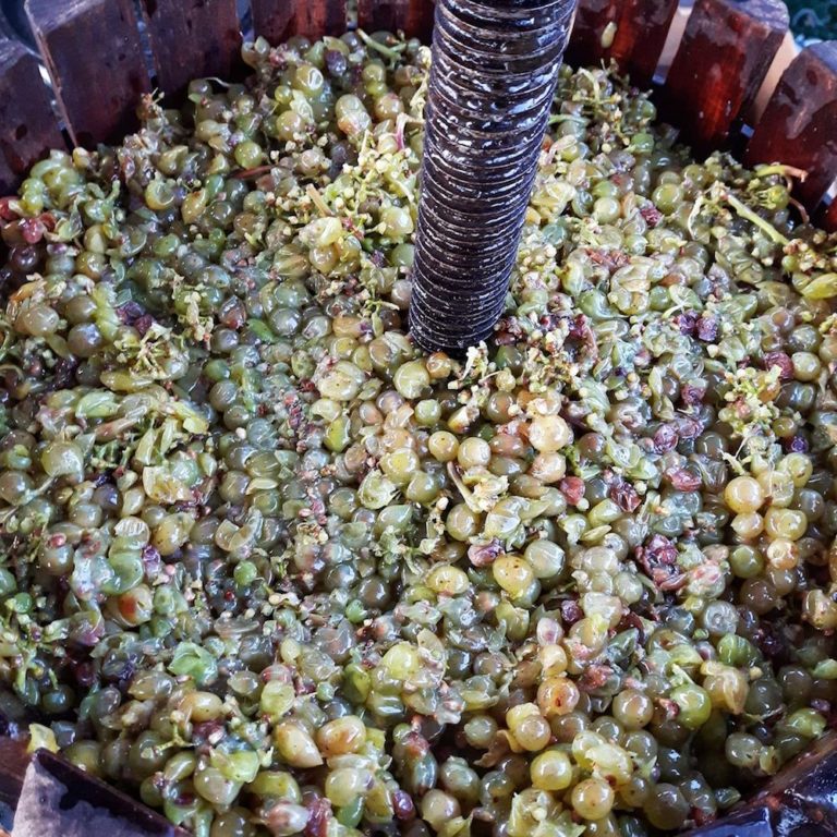 Niagara duo shine light on Riesling - Wines In Niagara