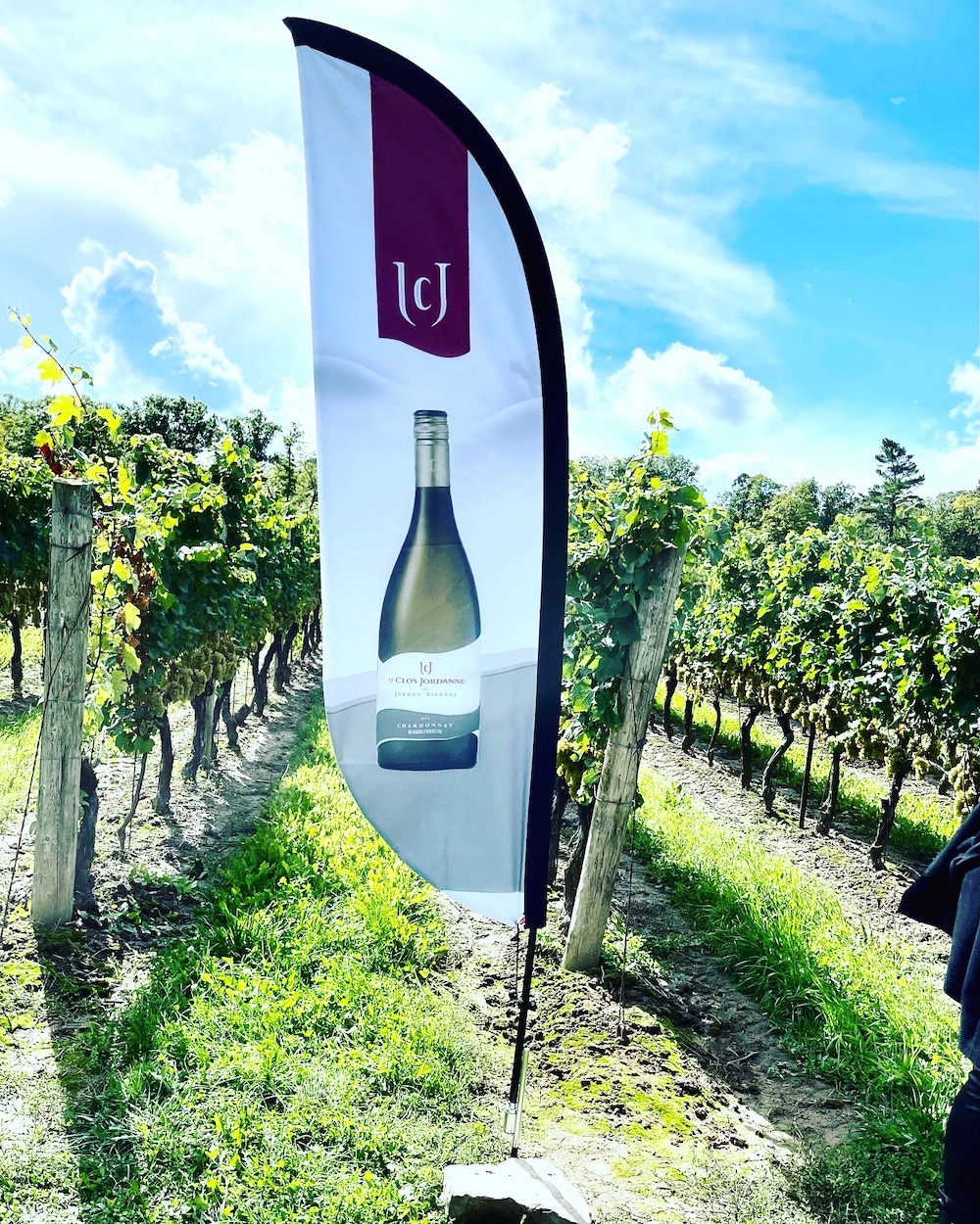 asign - Wines In Niagara