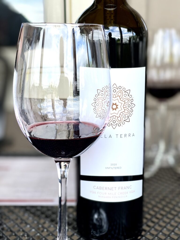 Bella Terra Vineyard's big leap into the future - Wines In Niagara