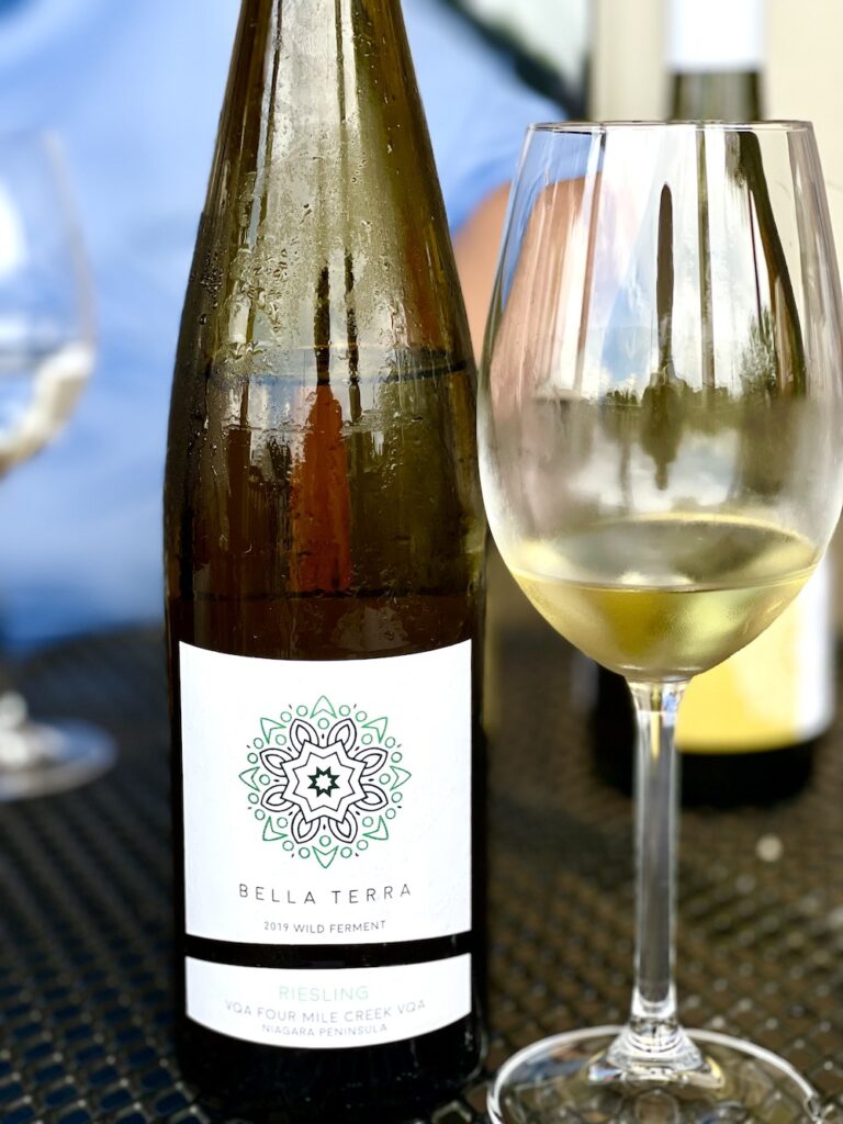 Bella Terra Vineyard's big leap into the future - Wines In Niagara