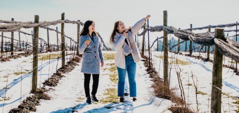 Historic Elgin County Skye Chase winery getting ready for big reveal ...